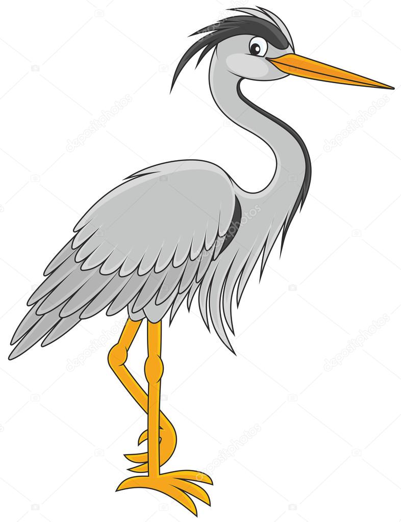 Grey Heron walking Stock Vector by ©AlexBannykh 100584758