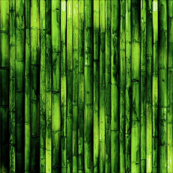 Bamboo jungle Stock Photos, Royalty Free Bamboo jungle Images ...