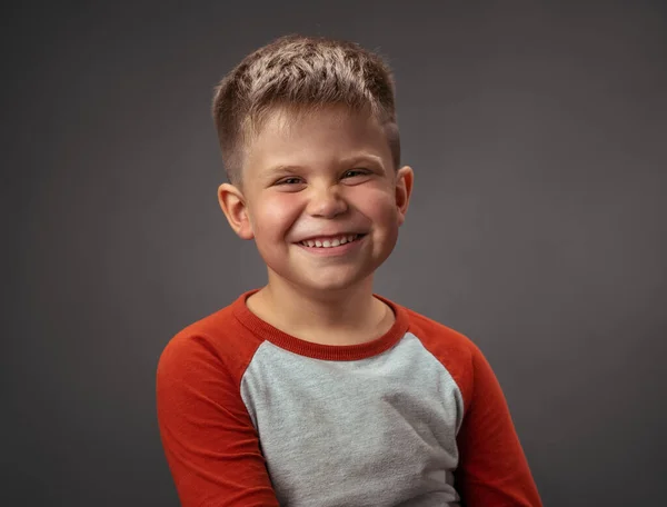 Preschool boy smiling with smirk at camera. Portrait of funny child on ...