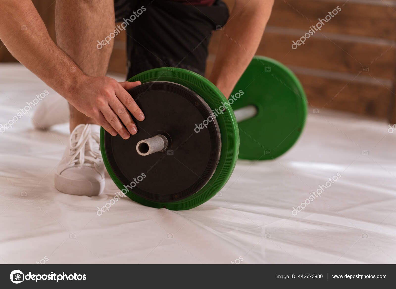Fixing barbell young man bow on a knee adding a black and green plates ...