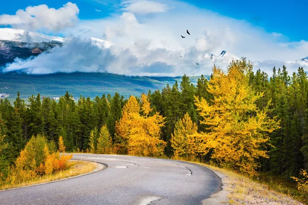 Rocky road Stock Photos, Royalty Free Rocky road Images | Depositphotos