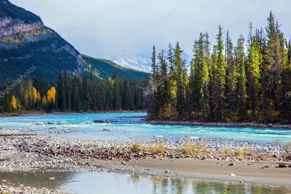El río Athabasca comienza en el glaciar Columbia en Jasper Park ...