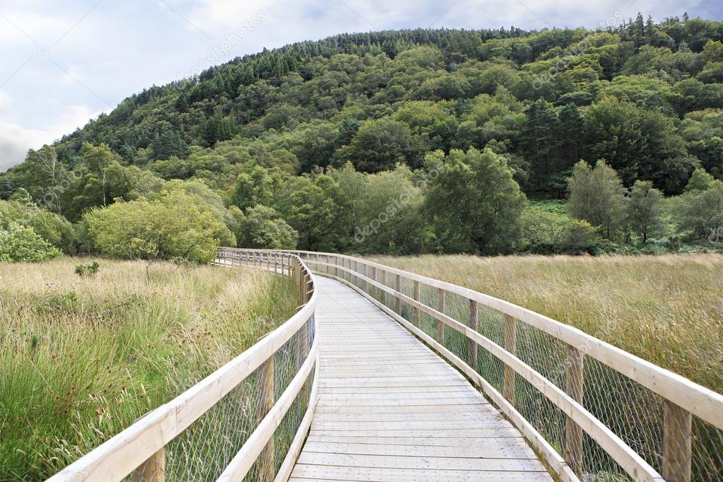 Walking trails in Wicklow Mountains National Park. — Stock Photo ...