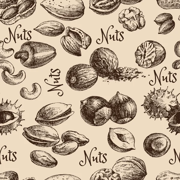 Tree nuts Stock Vectors, Royalty Free Tree nuts Illustrations ...
