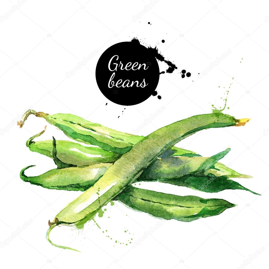 String Beans Drawing