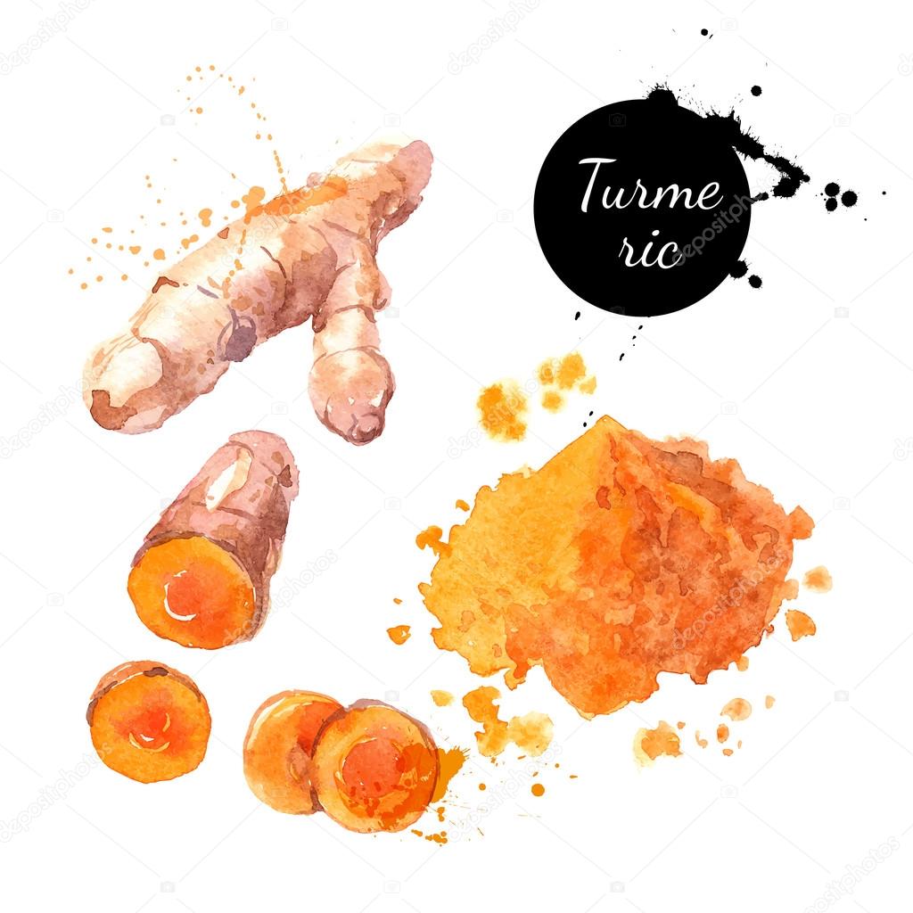 Cúrcuma. Pintura aquarela desenhada à mão Vetor de stock de ©pimonova ...