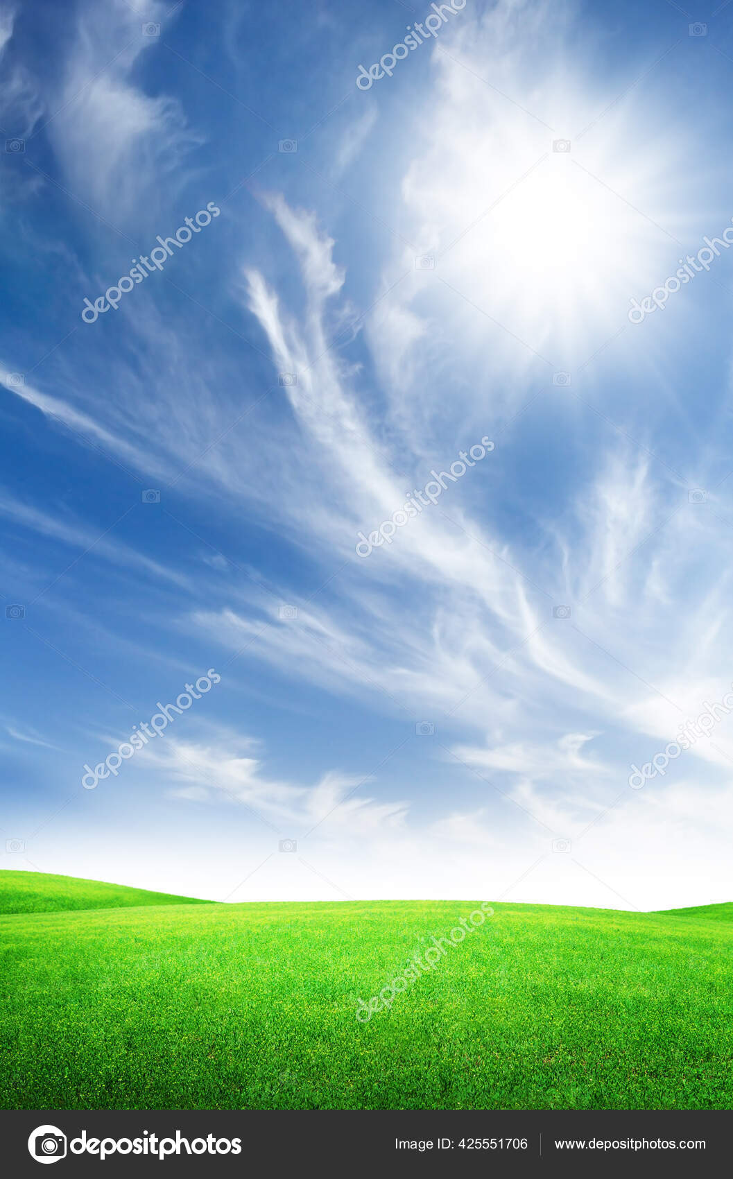 Green Grass Blue Sky Vertical