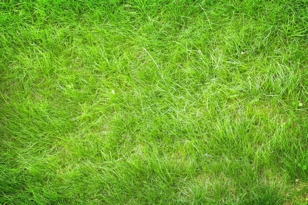 Ground texture Stock Photos, Royalty Free Ground texture Images ...