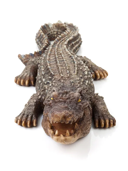 ᐈ White crocodile stock photos, Royalty Free white crocodile pattern ...