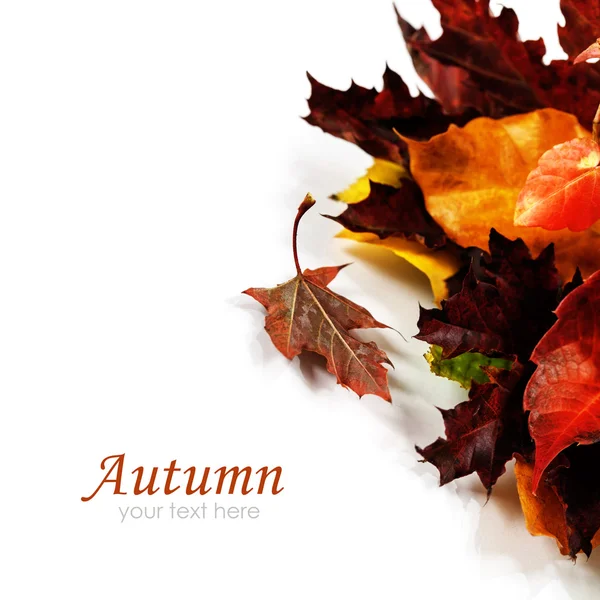 Shutterstock autumn images and Stock Photos, Royalty Free Shutterstock ...