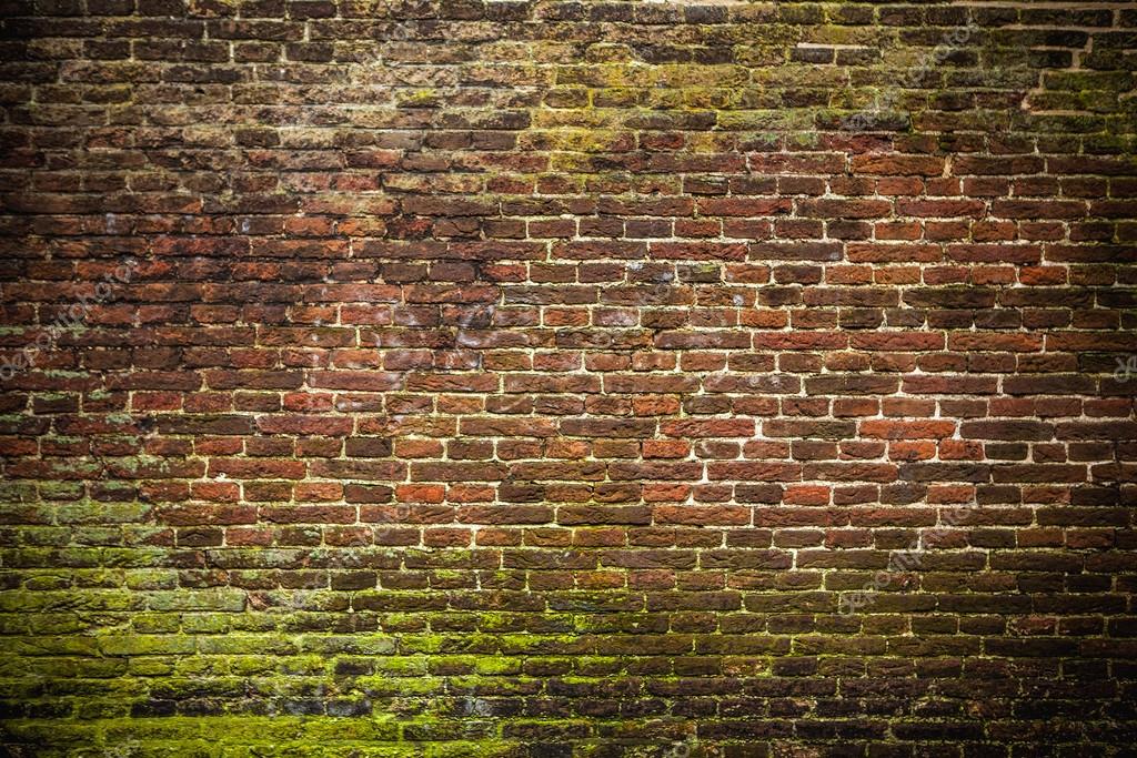 Moss On Bricks