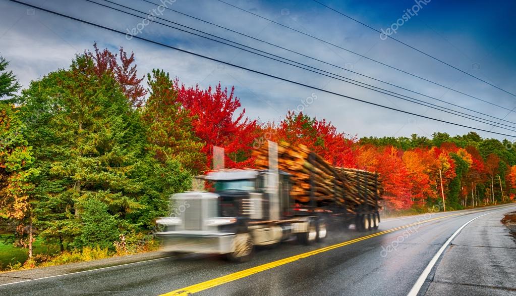 Fast moving truck along foliage road scenery — Stock Photo © jovannig ...
