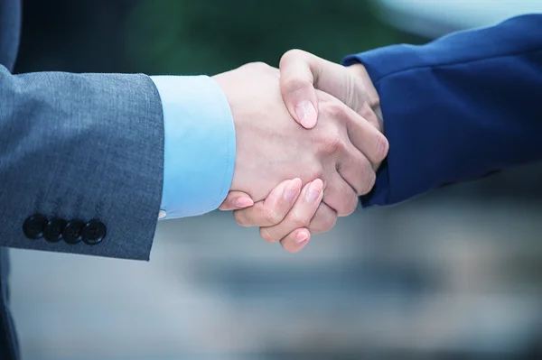 Handshaking — Stock Photo © pressmaster #11631521