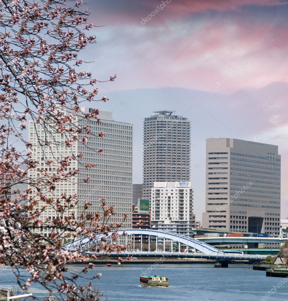Tokyo skyline in spring – Stock Editorial Photo © jovannig #55841295
