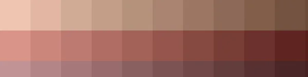 Piel humana colores imágenes de stock de arte vectorial | Depositphotos