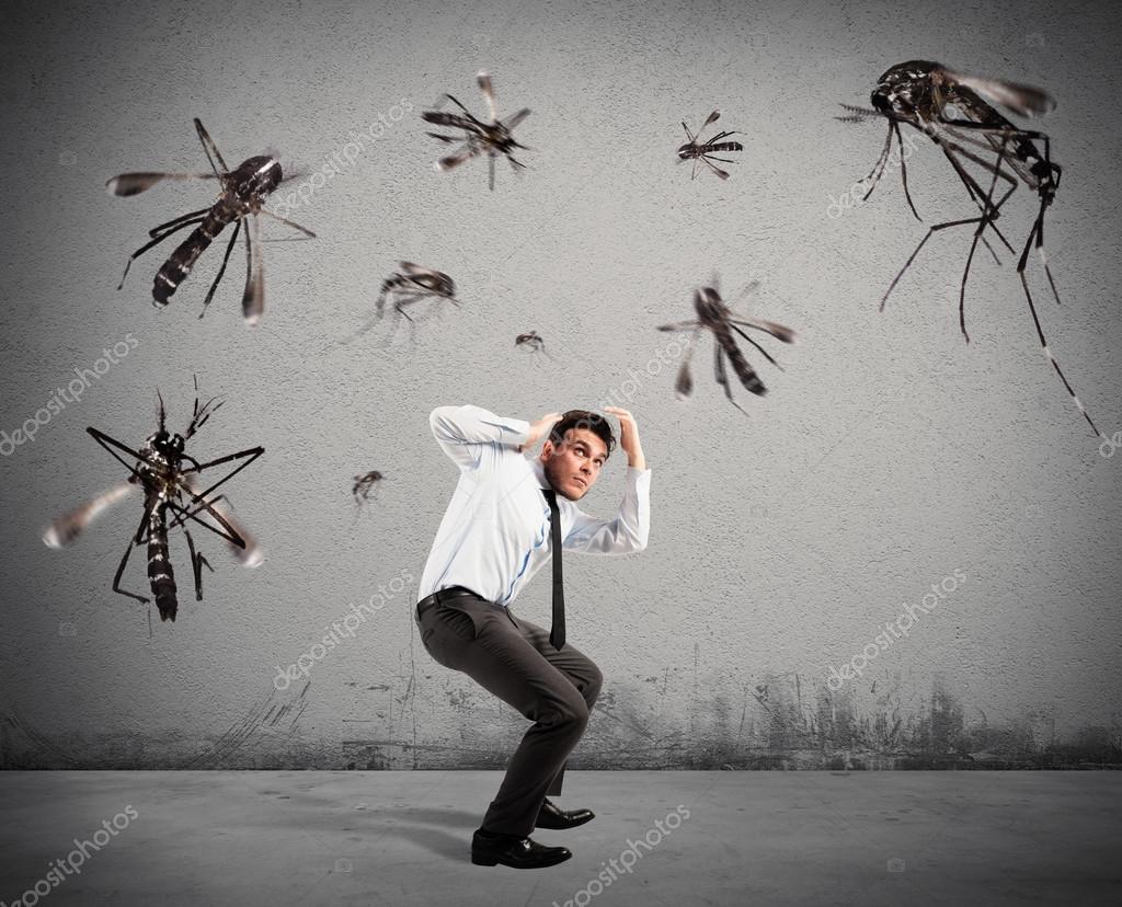 Mosquitoes attacking scared man Stock Photo by ©alphaspirit 115090196