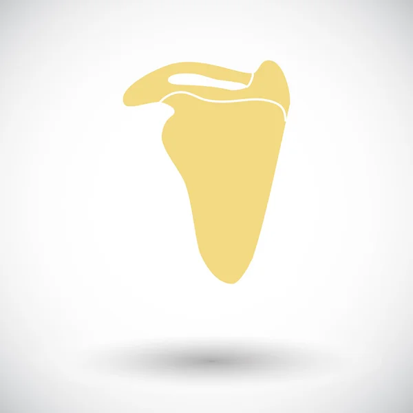 Scapula Stock Vector Image by ©leshkasmok #69079889