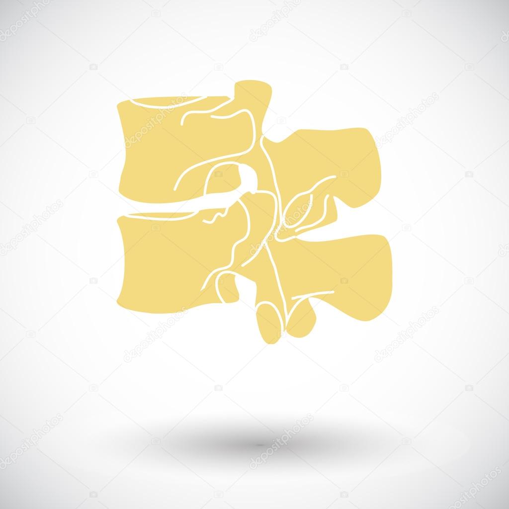 Anatomy spine icon. Stock Vector Image by ©leshkasmok #68787029