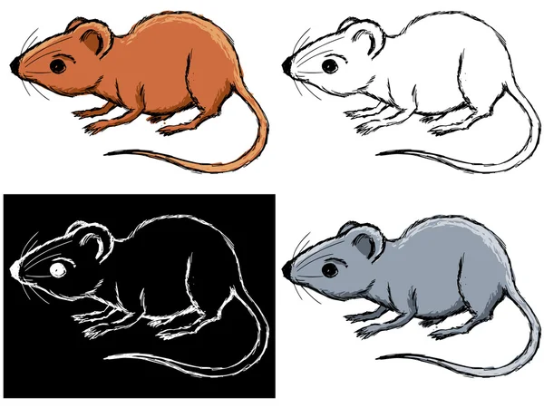 Mouse house Vector Art Stock Images | Depositphotos
