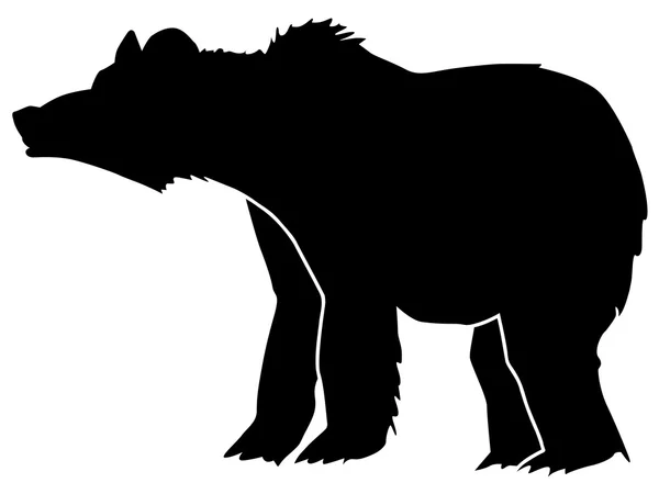 Shadow of the bear Stock Photos, Royalty Free Shadow of the bear Images ...
