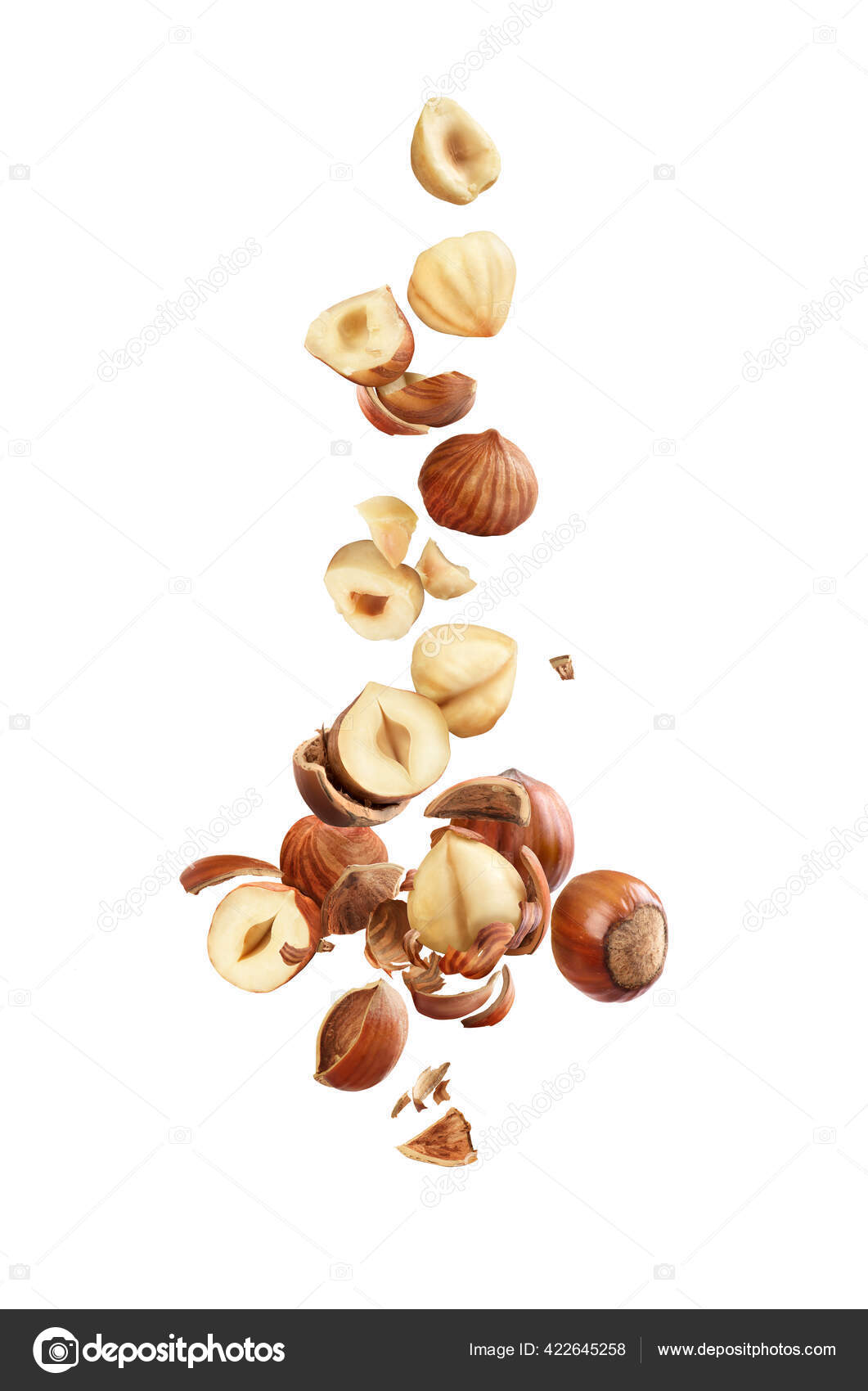 Hazelnuts Flight White Background — Stock Photo © urfingus #422645258