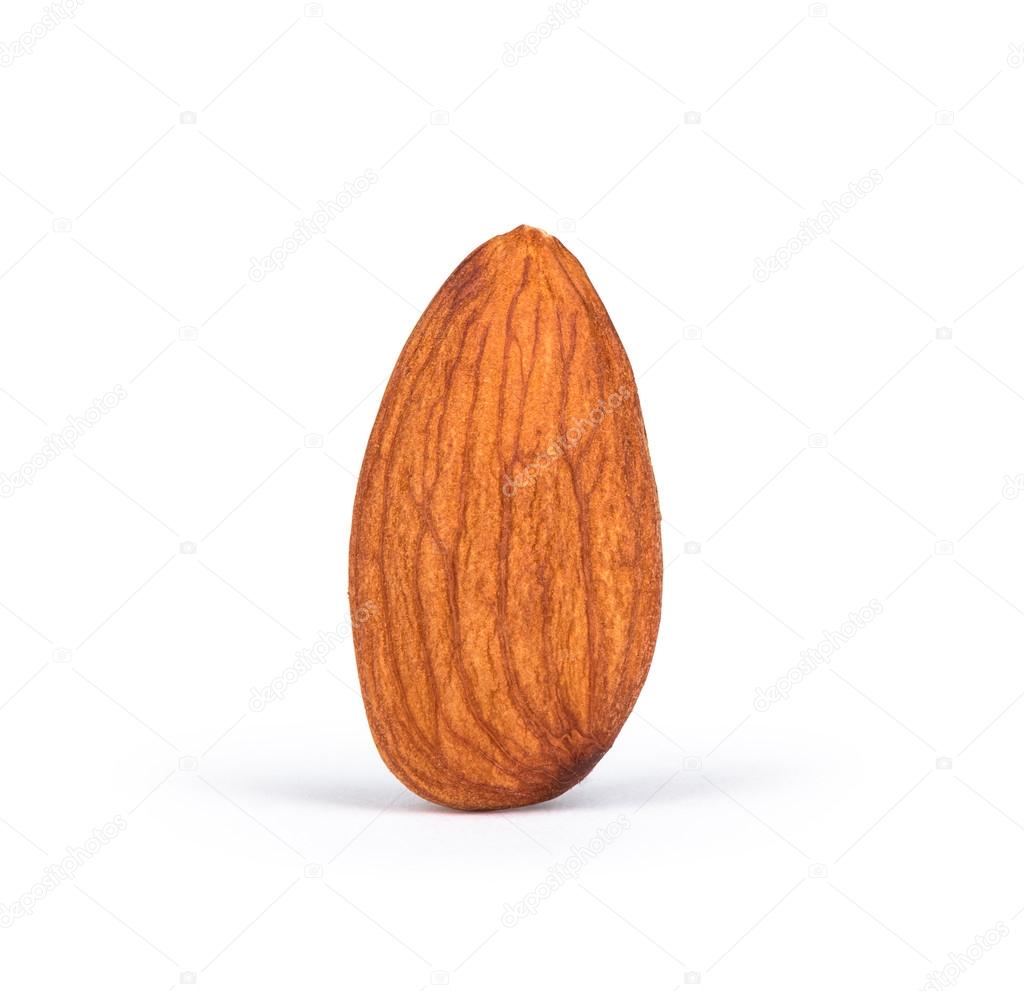 One Almond Nut