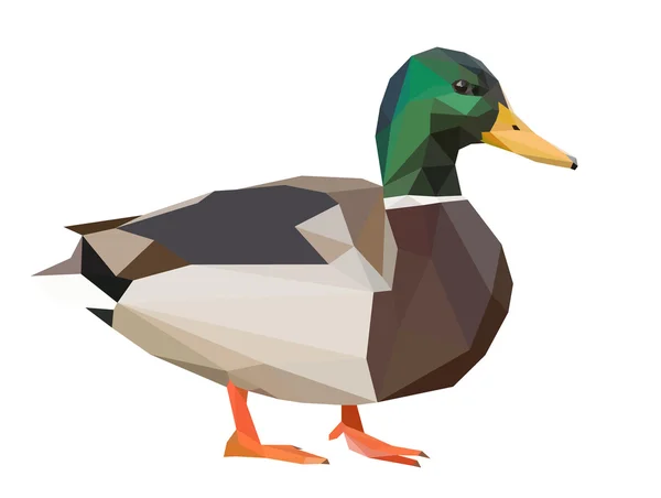 Pato geométrico imágenes de stock de arte vectorial | Depositphotos