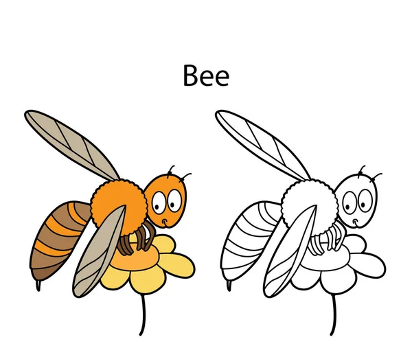 100,000 Life cycle of the bee Vector Images | Depositphotos