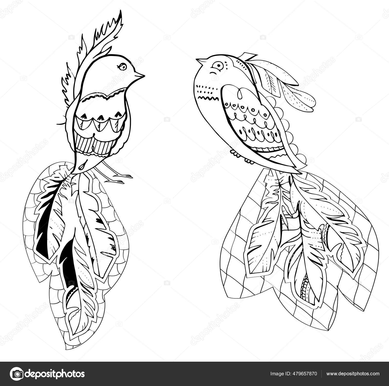 Contour Linear Illustration Bird Coloring Book Cute Pretty Bird Stress ...
