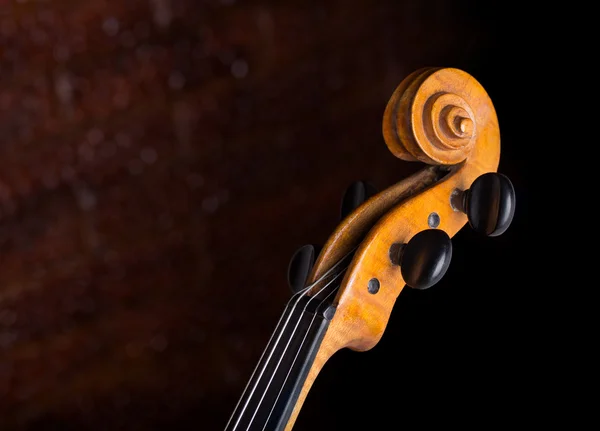 Violin neck Pictures, Violin neck Stock Photos & Images | Depositphotos®
