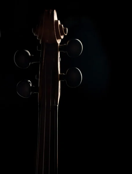 Violin neck Pictures, Violin neck Stock Photos & Images | Depositphotos®