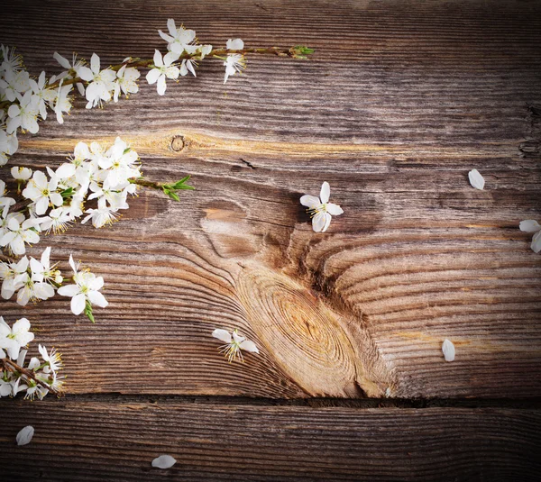 Spring flowers on wooden background — Stock Photo © Kruchenkova #21336355