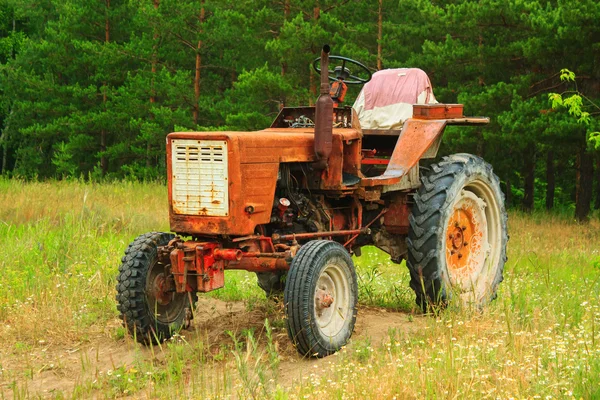 Viejos feos fotos de stock, imágenes de Viejos feos sin royalties ...