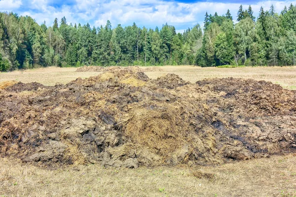 Manure pit Stock Photos, Royalty Free Manure pit Images | Depositphotos