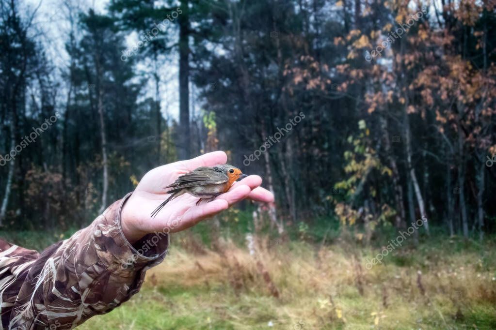 ¡Sé libre! Concepto de libertad y necesidad: necesario para estudiar la ...