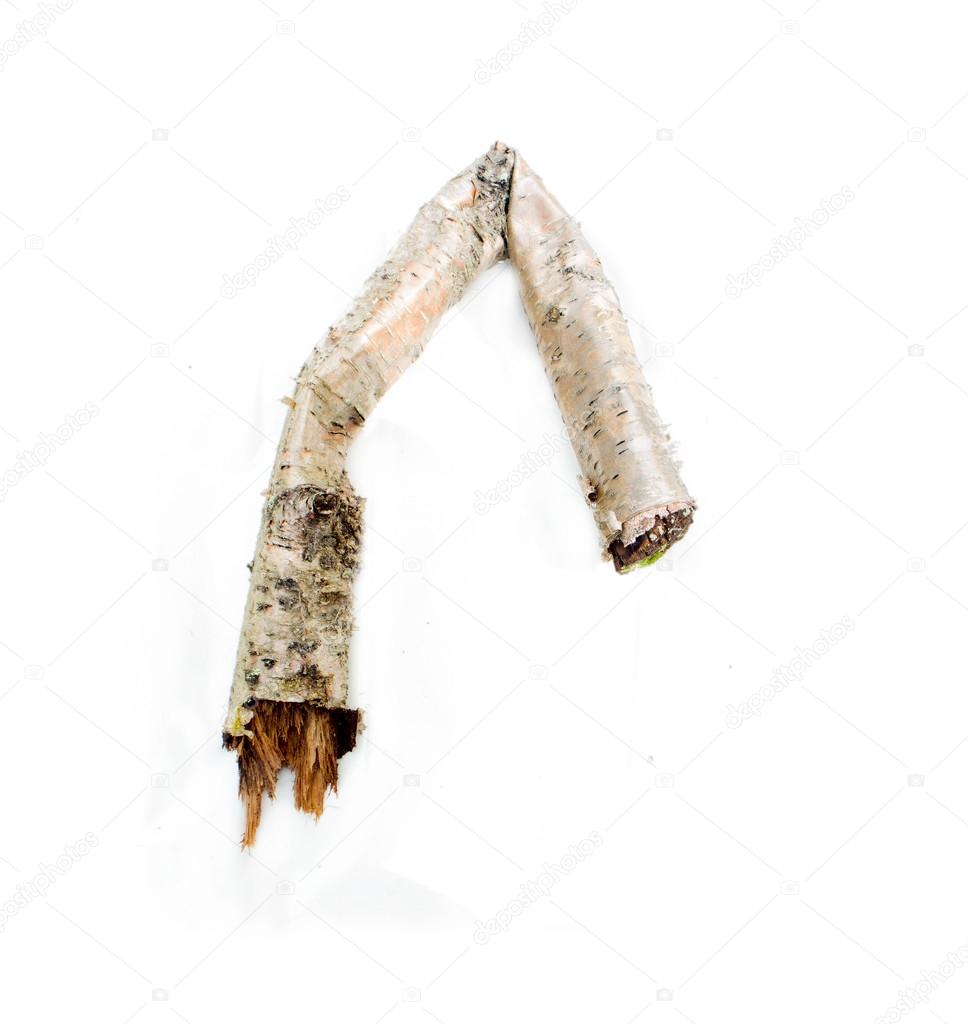 Very old decrepit tree branch — Stock Photo © max5128 #84585062