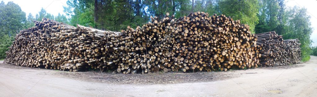 Pile of wood cones Stock Photos, Royalty Free Pile of wood cones Images ...