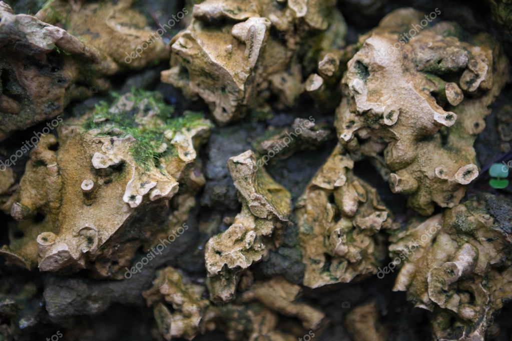 Stone wall background for texture with space. Stock Photo by ©mcherevan ...