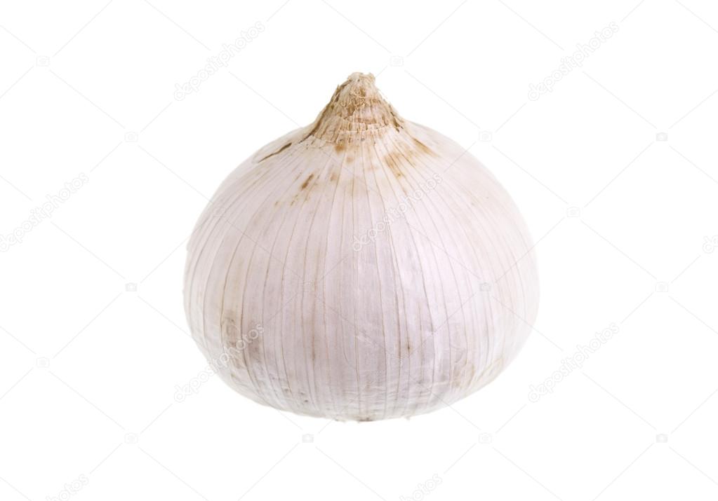 Single Clove Garlic Stock Photo by ©ribeiroantonio 107325586