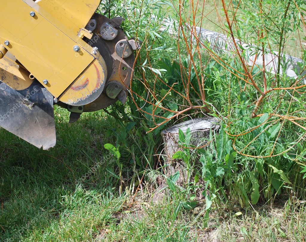 Tree stump machine. Stock Photo by ©oscarcwilliams 81186364