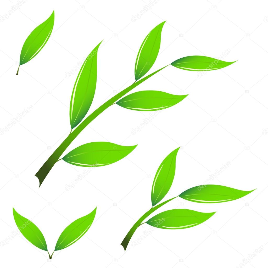 Stylized tree branches Stock Vector by ©de-kay 56592377