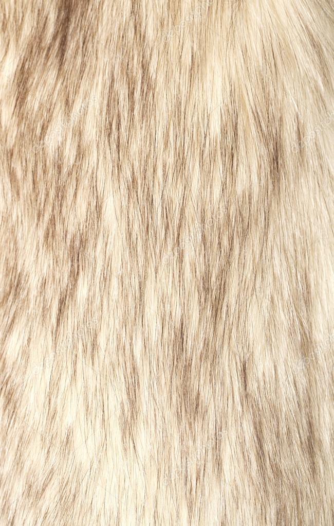 Fur background Stock Photo by ©cheyennezj 69991701