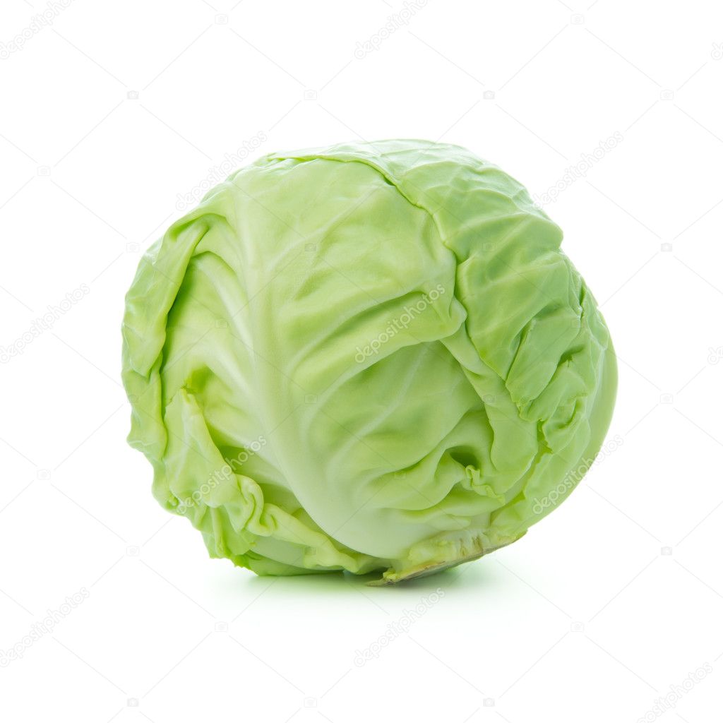 Repollo aislado fondo blanco 2023