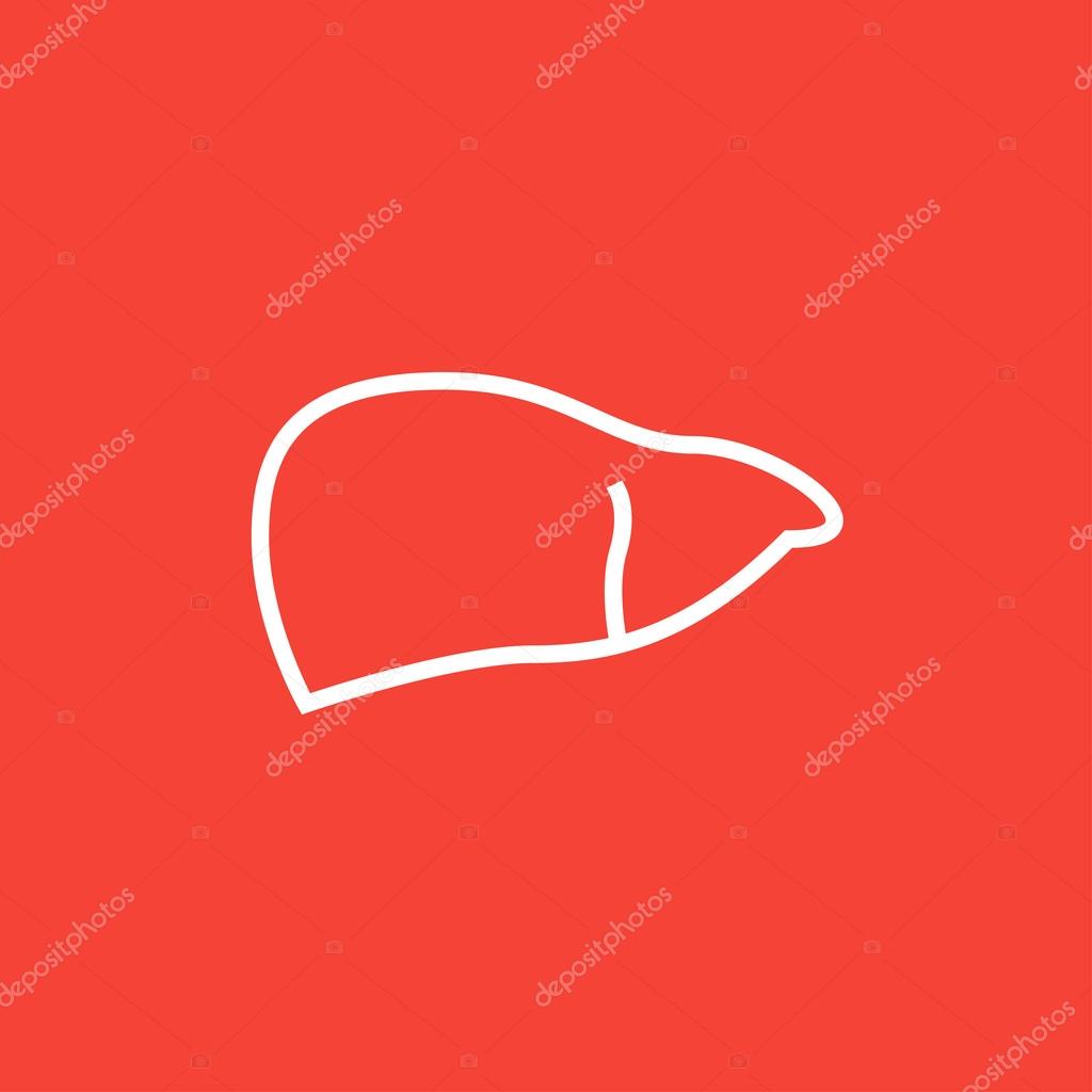 Liver line icon. Stock Vector by ©VisualGeneration 106134694