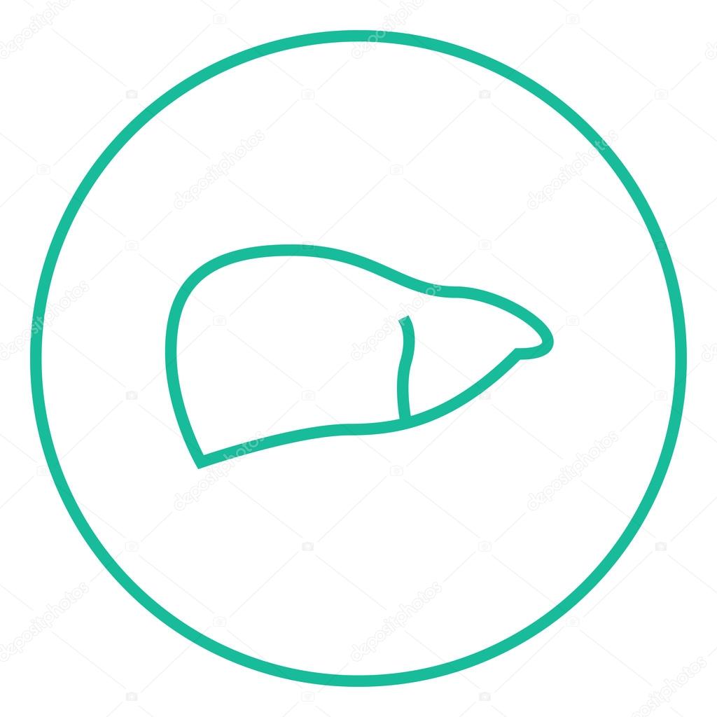 Liver line icon. Stock Vector Image by ©VisualGeneration #106567342