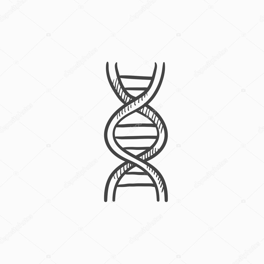 DNA sketch icon. Stock Vector by ©VisualGeneration 118948688
