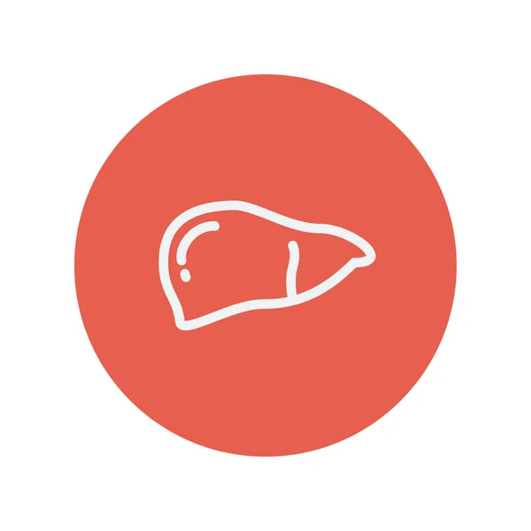 Liver line icon. Stock Vector Image by ©VisualGeneration #106567342