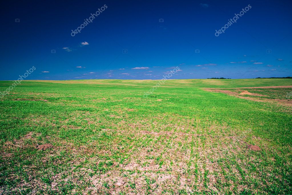 Grass and sky — Stock Photo © Ivantsov #56697167