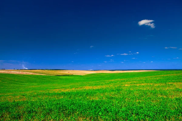 Beautiful spring field with the blue sky Stock Photo by ©Ivantsov 26213691
