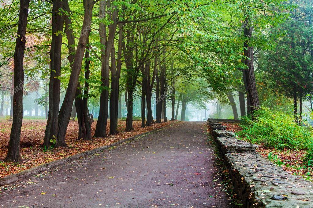 Beautiful road in park Stock Photo by ©Ivantsov 97498180